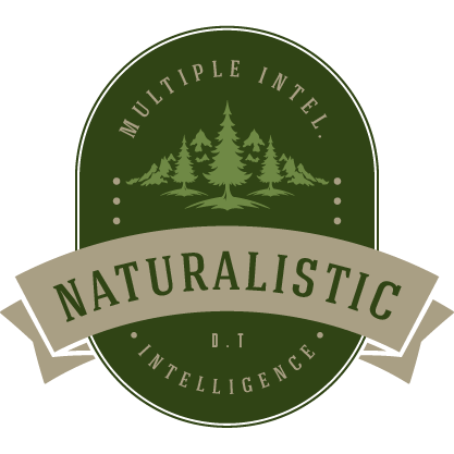 Multiple Intelligences Descriptions – MyPDJourney
